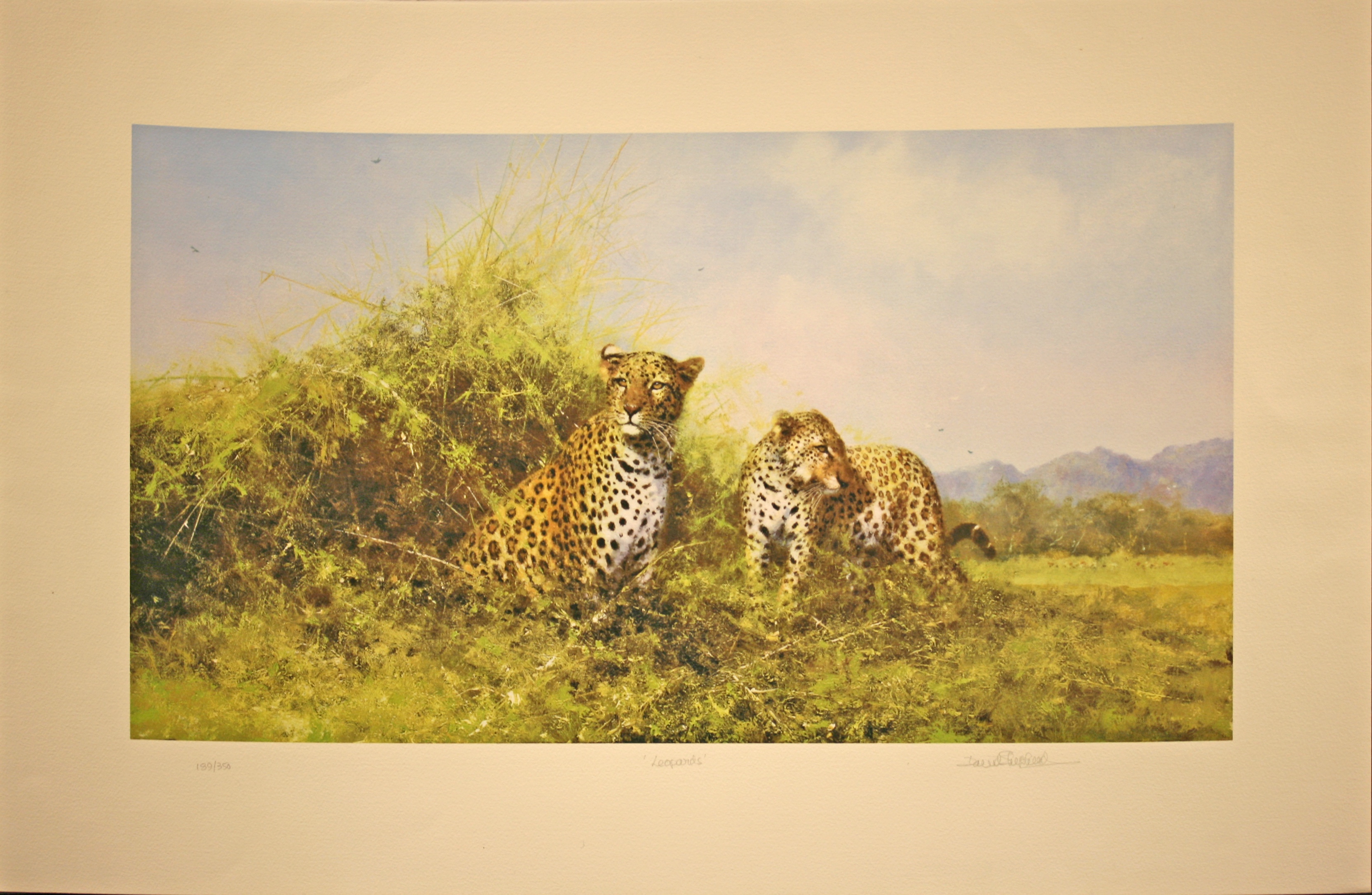 'Leopards' (silkscreen) 1997